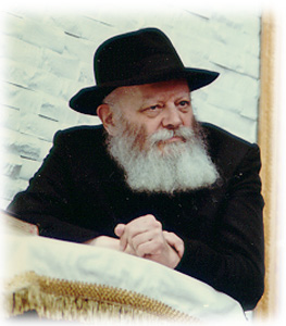 The Rebbe Photo Gallery - General Gallery