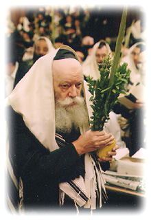 The Rebbe Photo Gallery - Around the Year with the Jewish Holidays