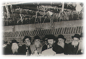 The Rebbe Photo Gallery - Around the Year with the Jewish Holidays